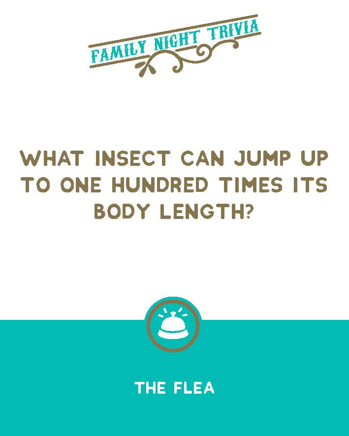 That Rings a Bell! Game: Family Night Trivia – Marrs Mercantile, LLC