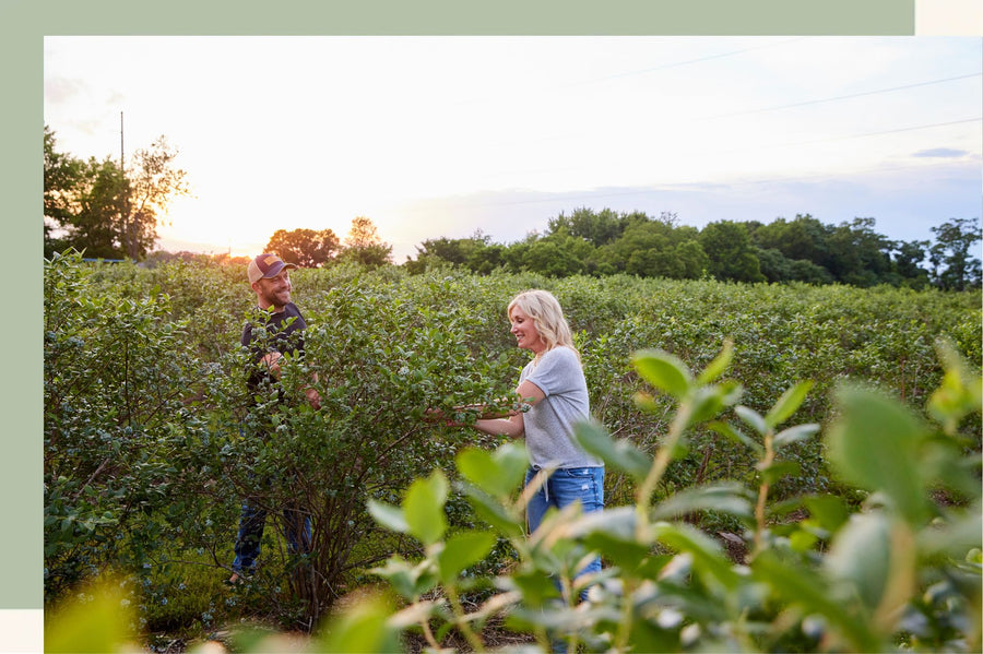 The Berry Farm – Marrs Mercantile, LLC